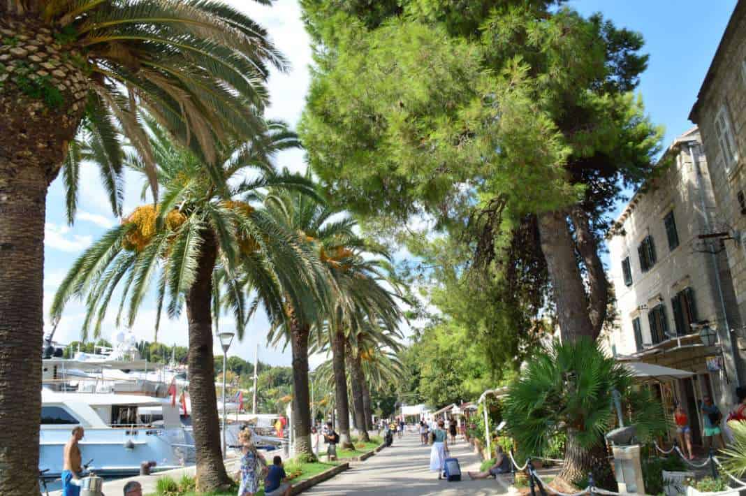 What to Do in Cavtat Croatia in 2022