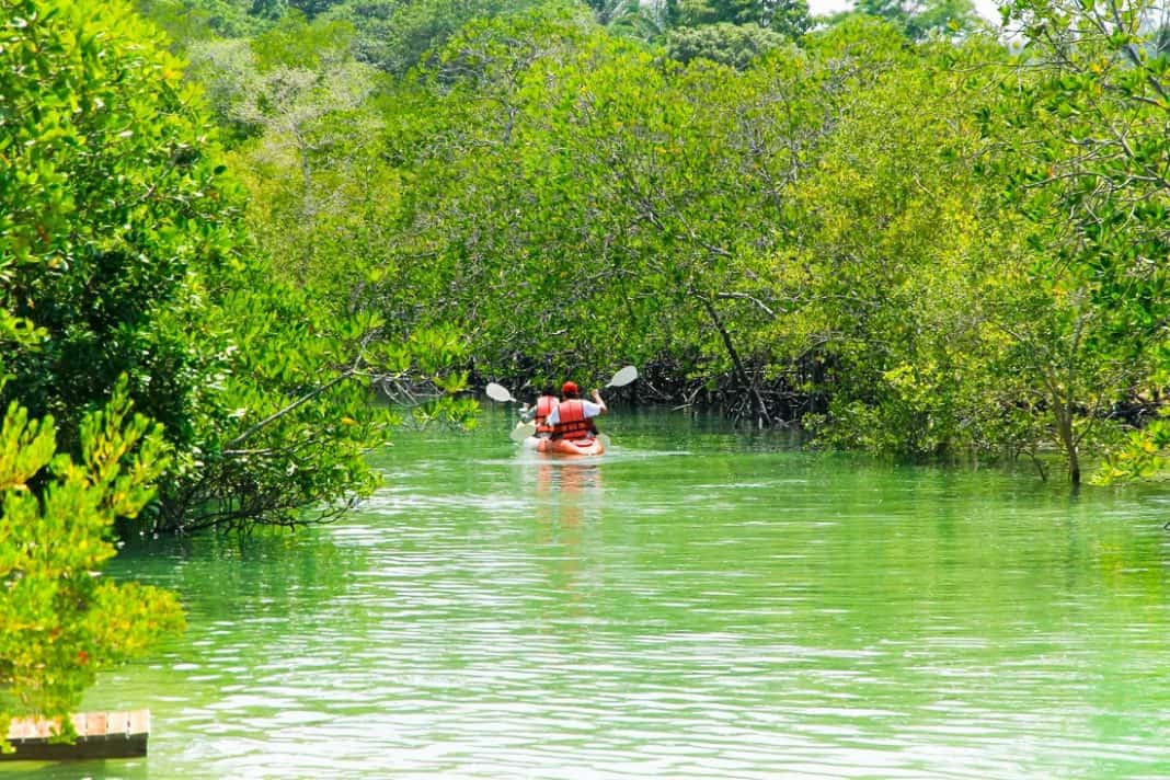 Best Places To Kayak In Florida Keys - Mindful Travel Experiences