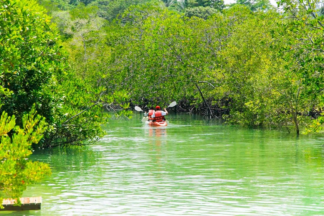 Best Places To Kayak In Florida Keys - Mindful Travel Experiences