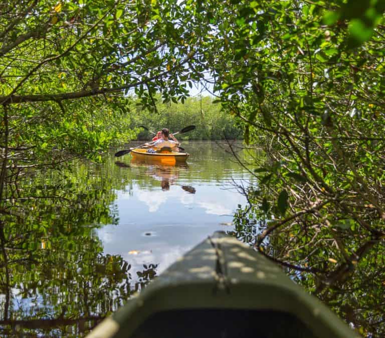 Best Places To Kayak In Florida Keys - Mindful Travel Experiences